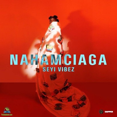 DOWNLOAD: Seyi Vibez - NAHAMciaga EP Album » TrendyBeatz